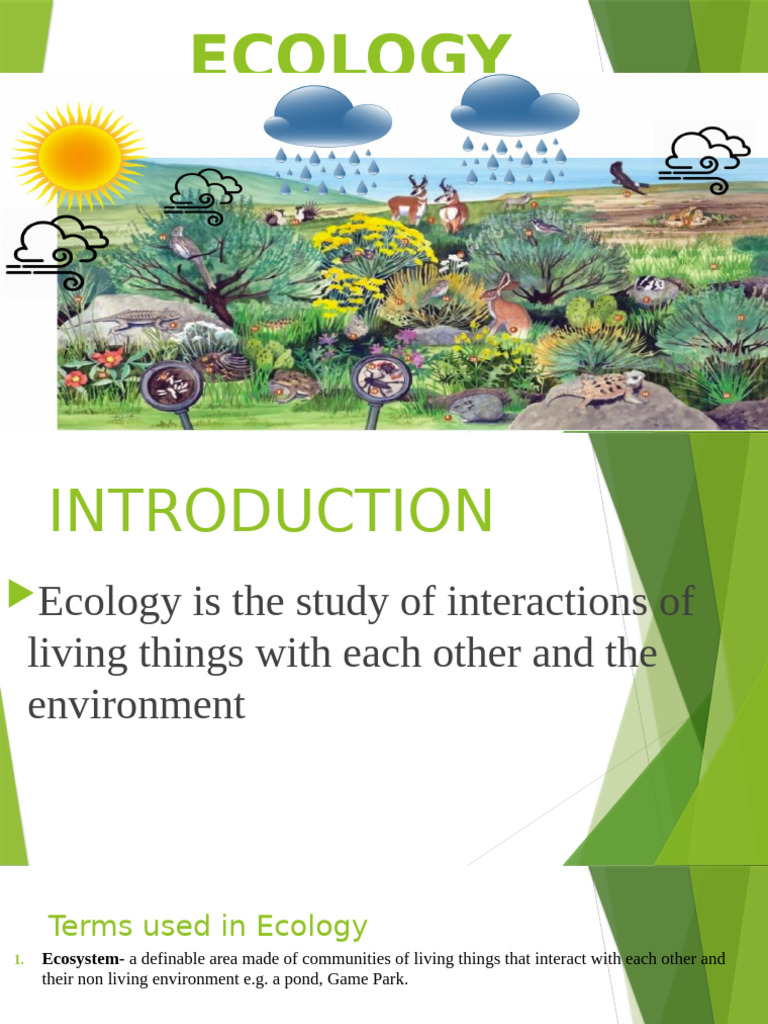 Ecology Power Point Lesson | PDF | Human Impact On The Environment ...