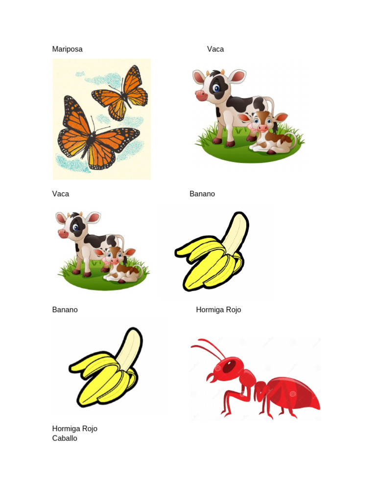 Mariposa Vaca | PDF