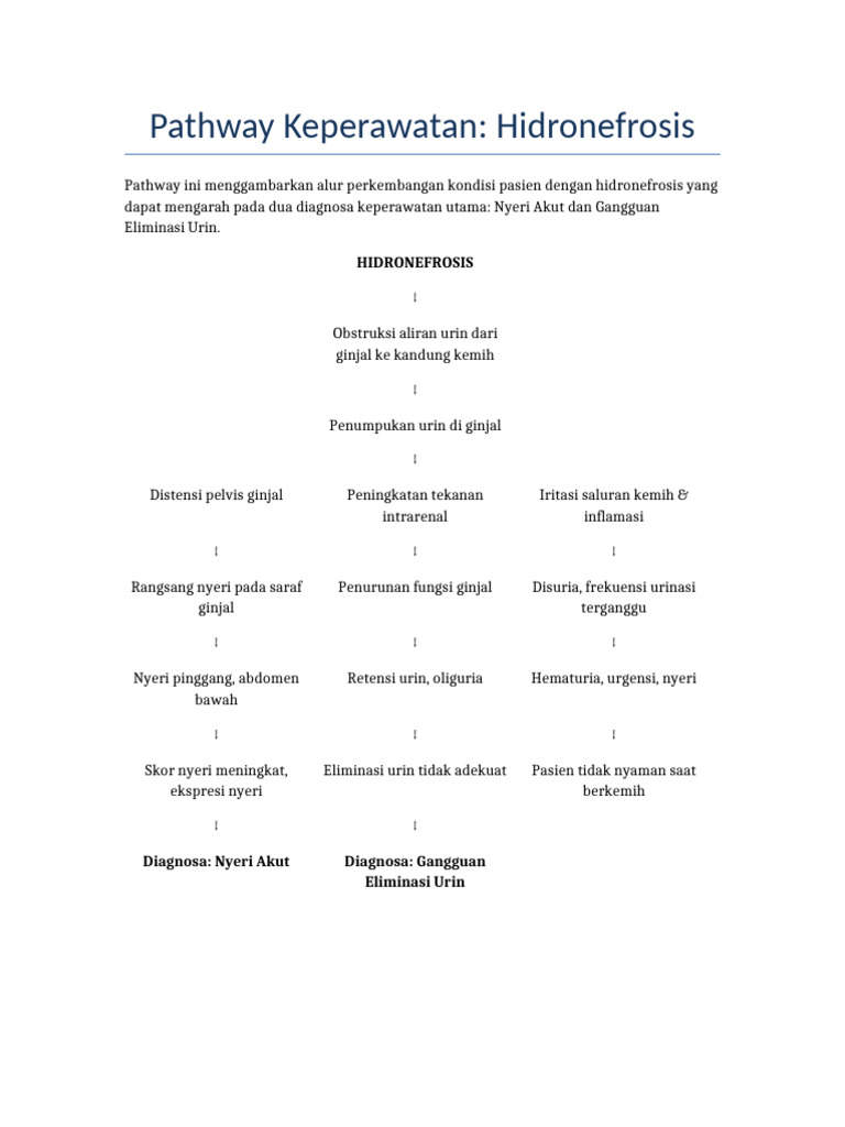 Pathway Keperawatan Hidronefrosis | PDF