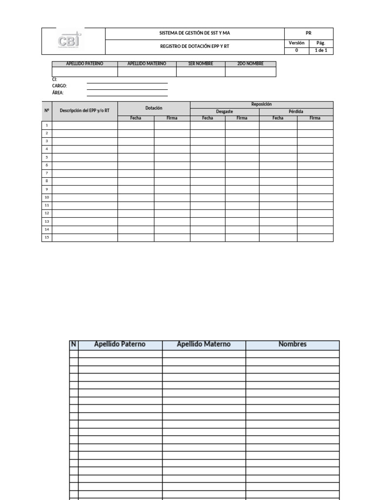 Registro de Dotación EPP y RT | PDF