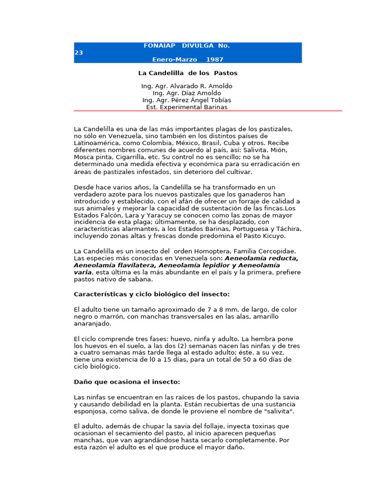 Candelilla de Los Pastos | PDF | Pasto | Insectos