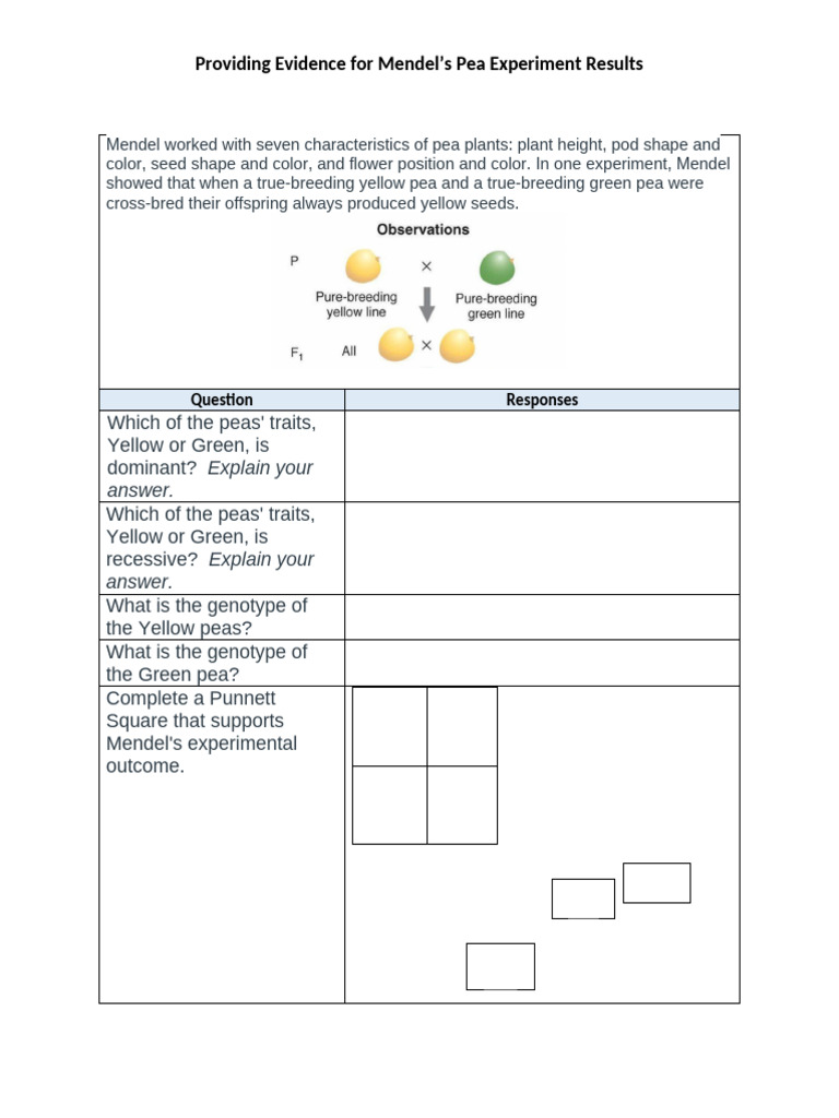 Providing Evidence For Mendel's Experiment Organizer-2-2 2 | PDF