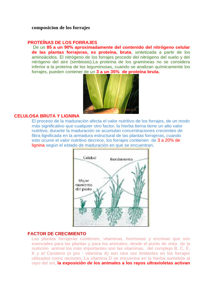 Composicion de Los Forrajes | PDF | Pasto | Nutrición