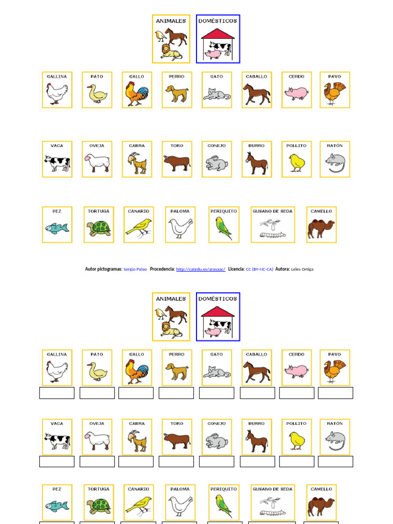ANIMALES DOMESTICOS Vocabulario | PDF