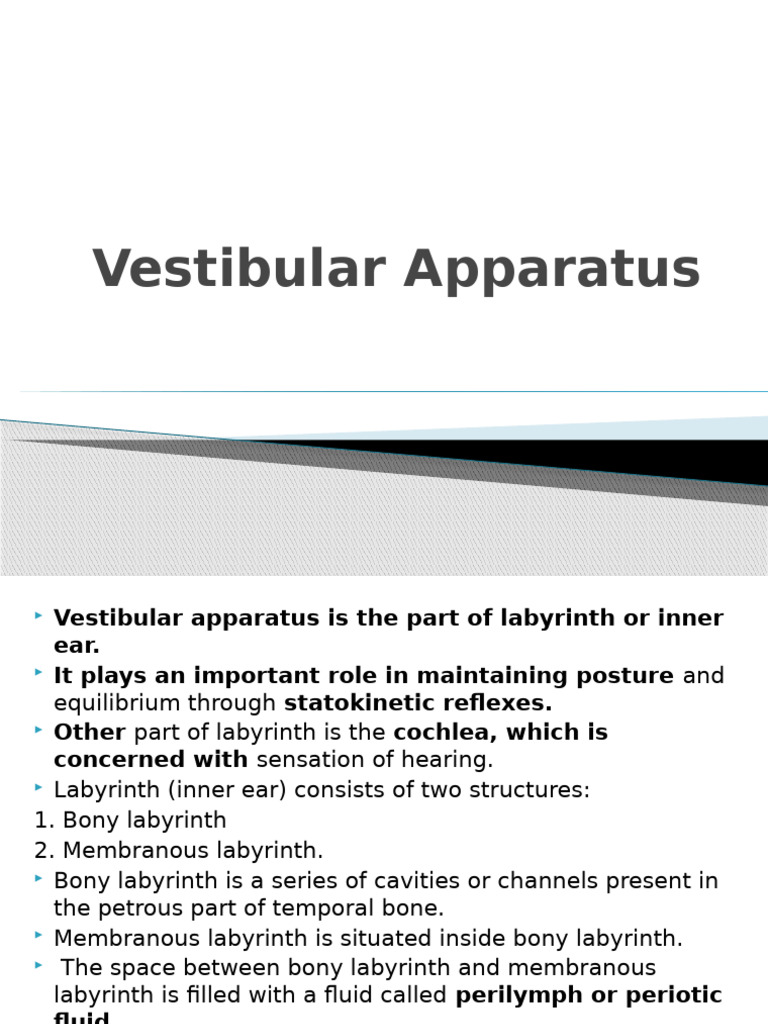 Vestibular Apparatus | PDF | Vestibular System | Auditory System