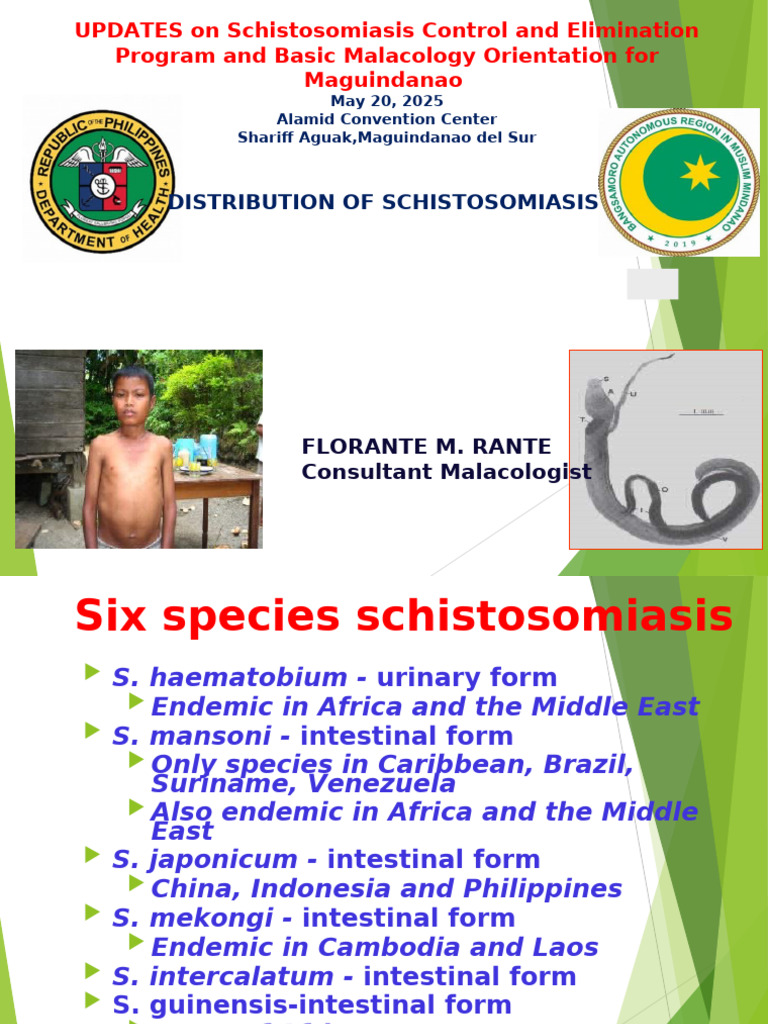 Distribution of Schistosomiasis | PDF | Human Diseases And Disorders | Diseases And Disorders