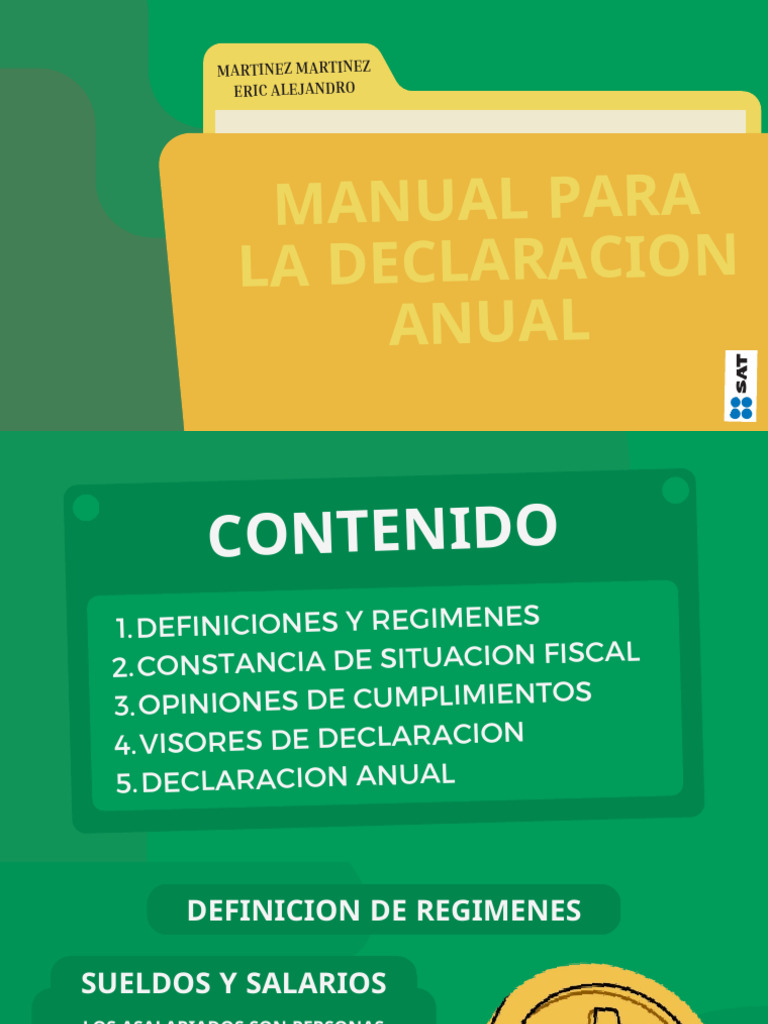 Manual de Declaracion | PDF