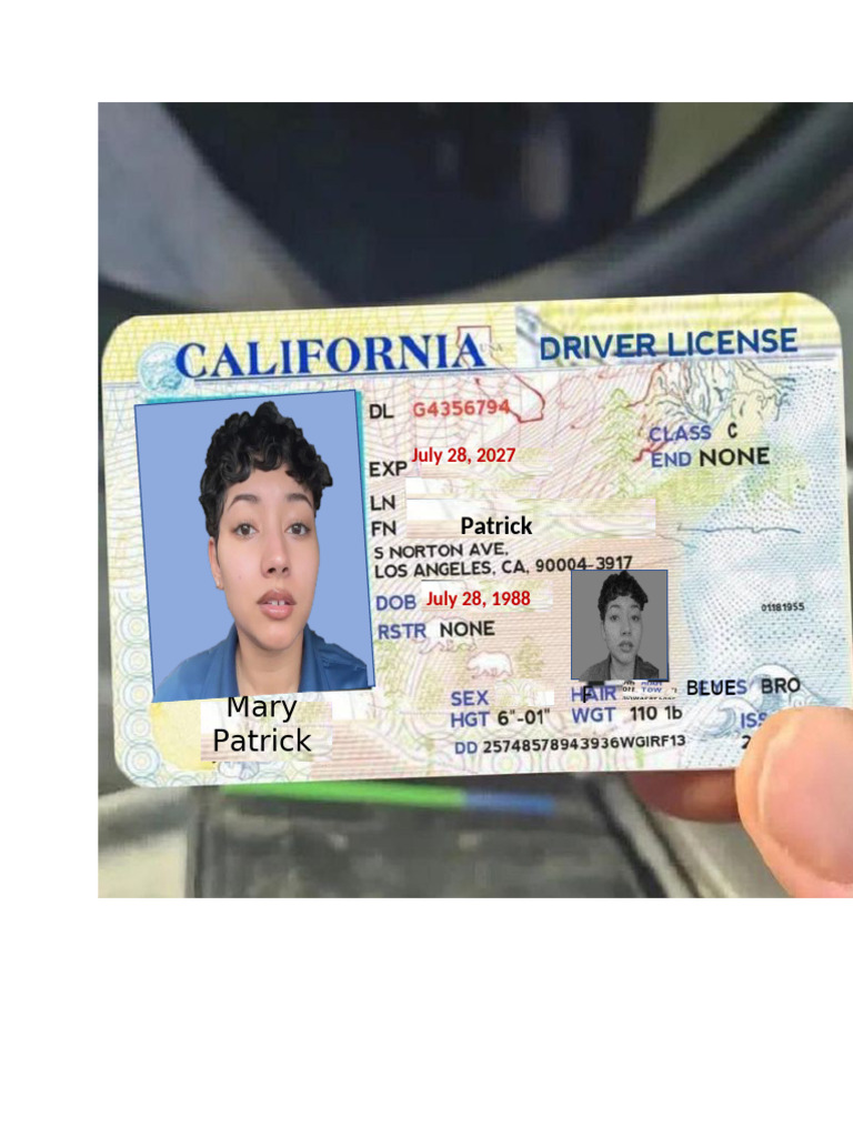 Patrick's Profile Overview | PDF