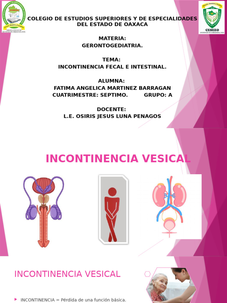 Incontinencia Fecal y Urinaria en Adultos Mayores | PDF | Enfermedades ...