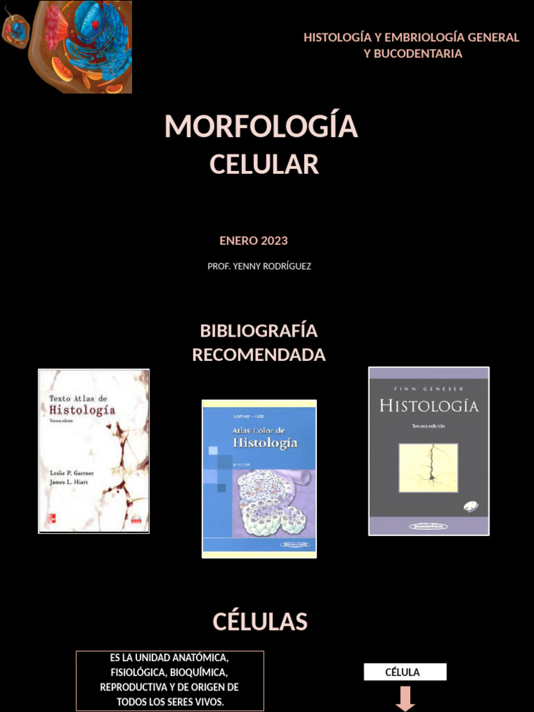 Morfología Celular 2023 | PDF | Biología Celular) | Mitosis