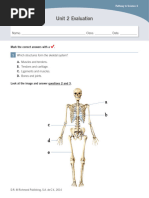 Sinuses Positioning Chart | PDF | Skull | Human Nose