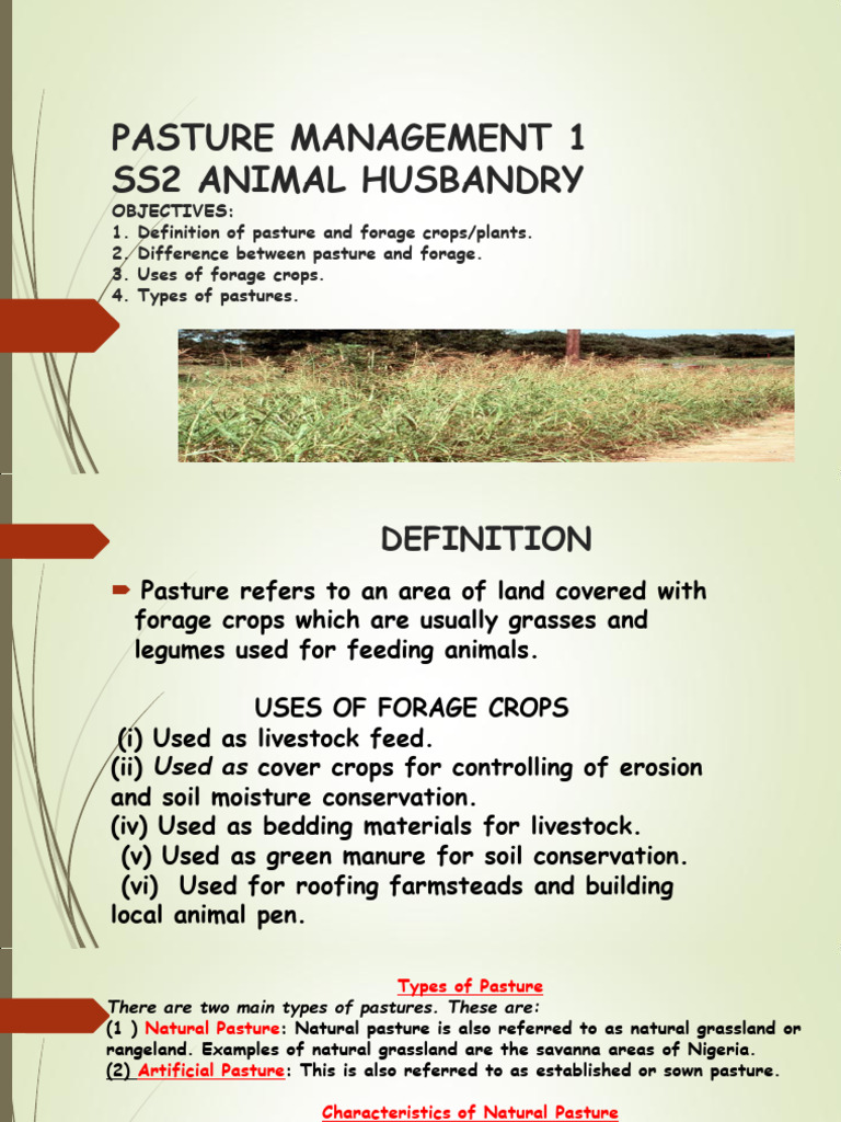 Pasture Management 1 Ss2 Animal Husbandry | PDF