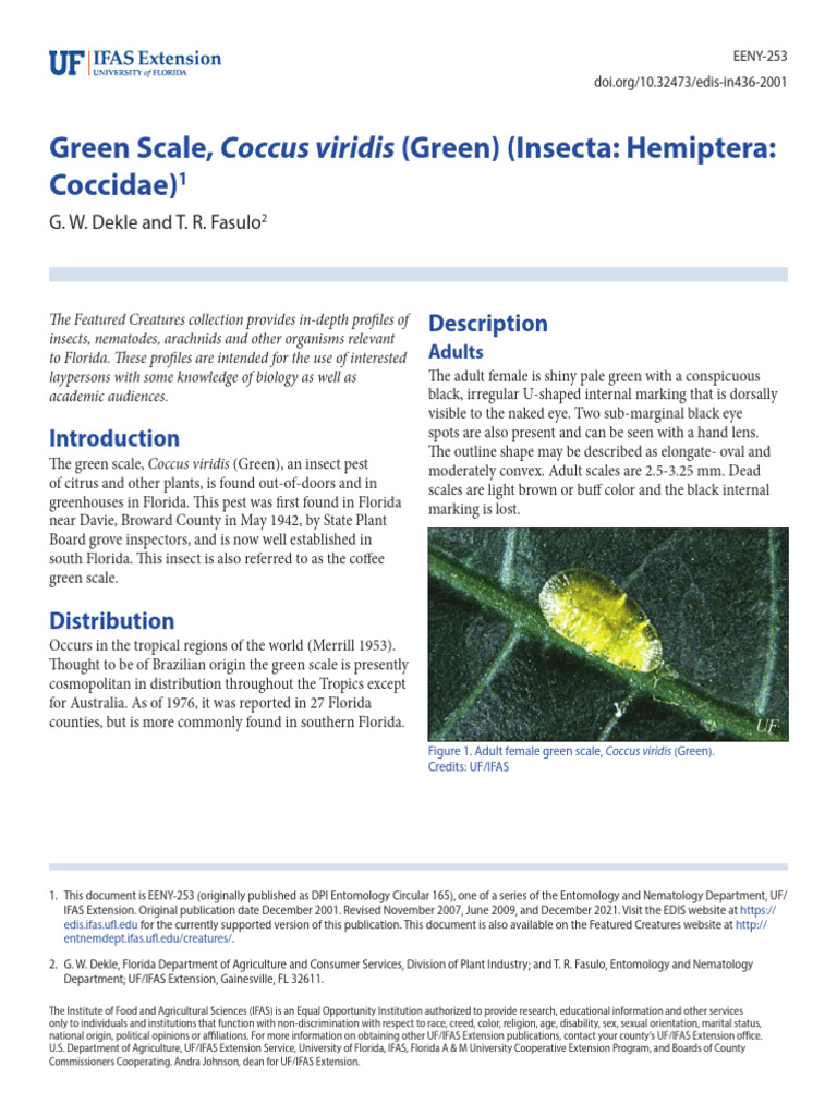 Green Scale, Coccus Viridis (Green) (Insecta - Hemiptera - Coccidae) | PDF | Insects | Organisms