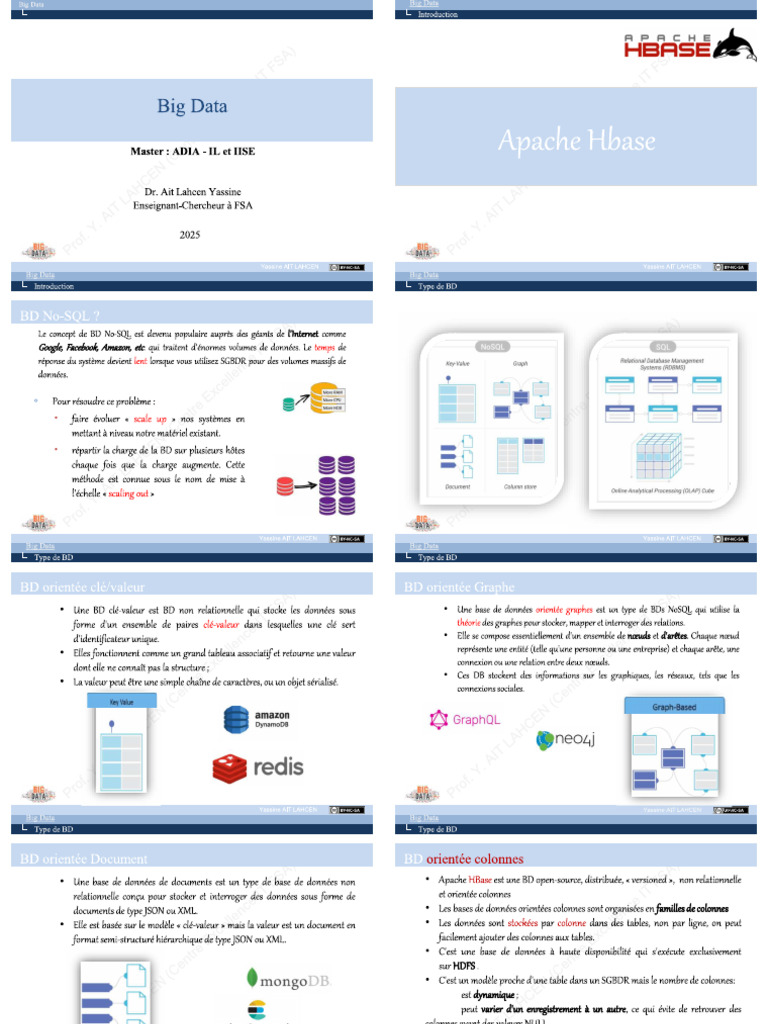 Chapitre 5 Big Data | PDF