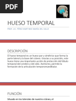 Fosa Temporal Anatomía, Límites y Contenido Ke | PDF | Cráneo | Sistema ...