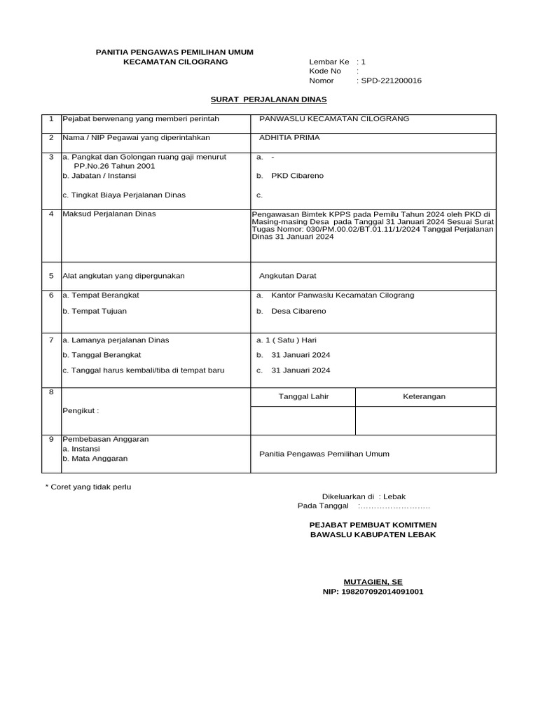 Visum SPPD Master | PDF