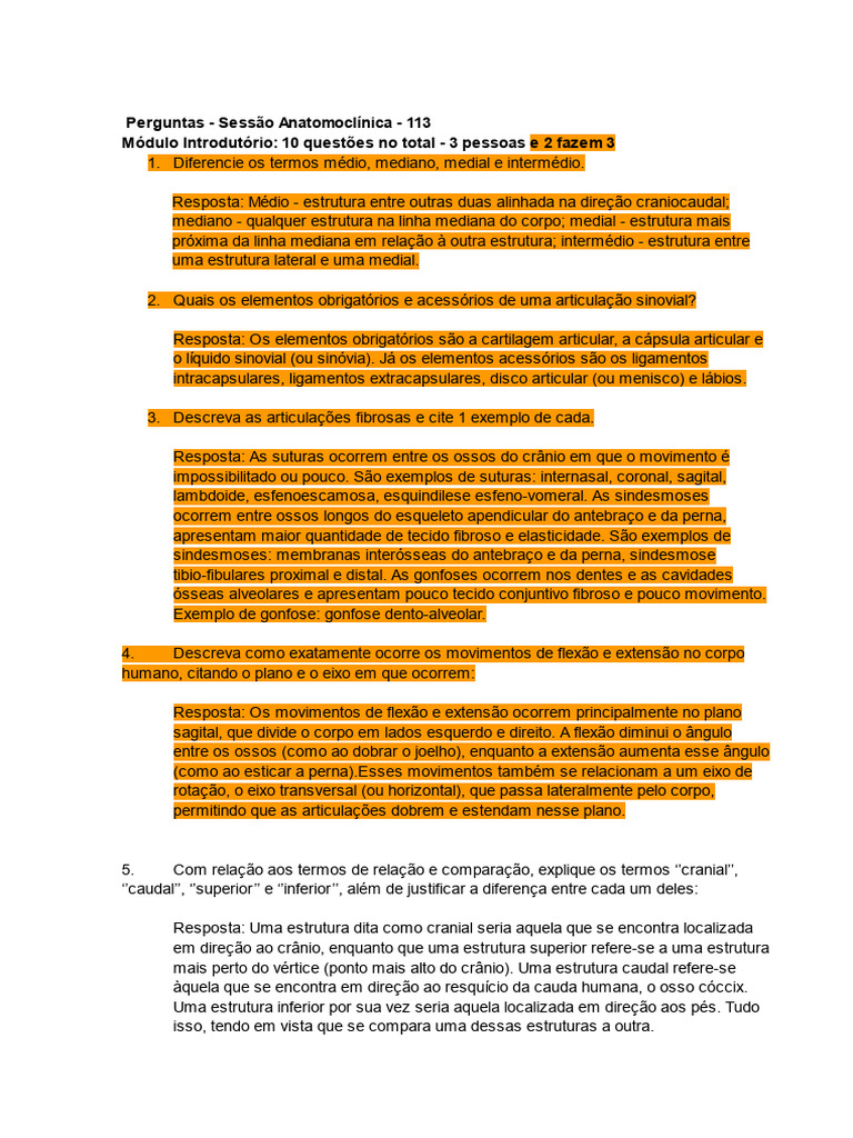 Perguntas - Sessão Anatomoclínica - 113 - Documentos Google | PDF | Neuroanatomia | Sistema nervoso