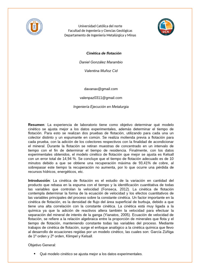 2º Informe Concentra | PDF | Cinética química | Metalurgia