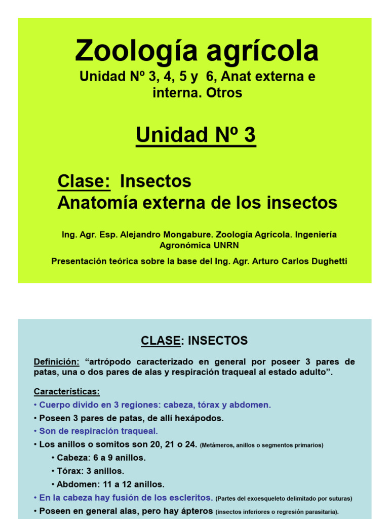 Unidad Nº 3, 4, 5 y 6, Anat externa e interna. Otros | PDF | Insectos | Sistema nervioso
