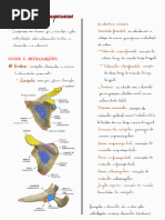 Forames Do Crânio | PDF | Neuroanatomia | Anatomia humana