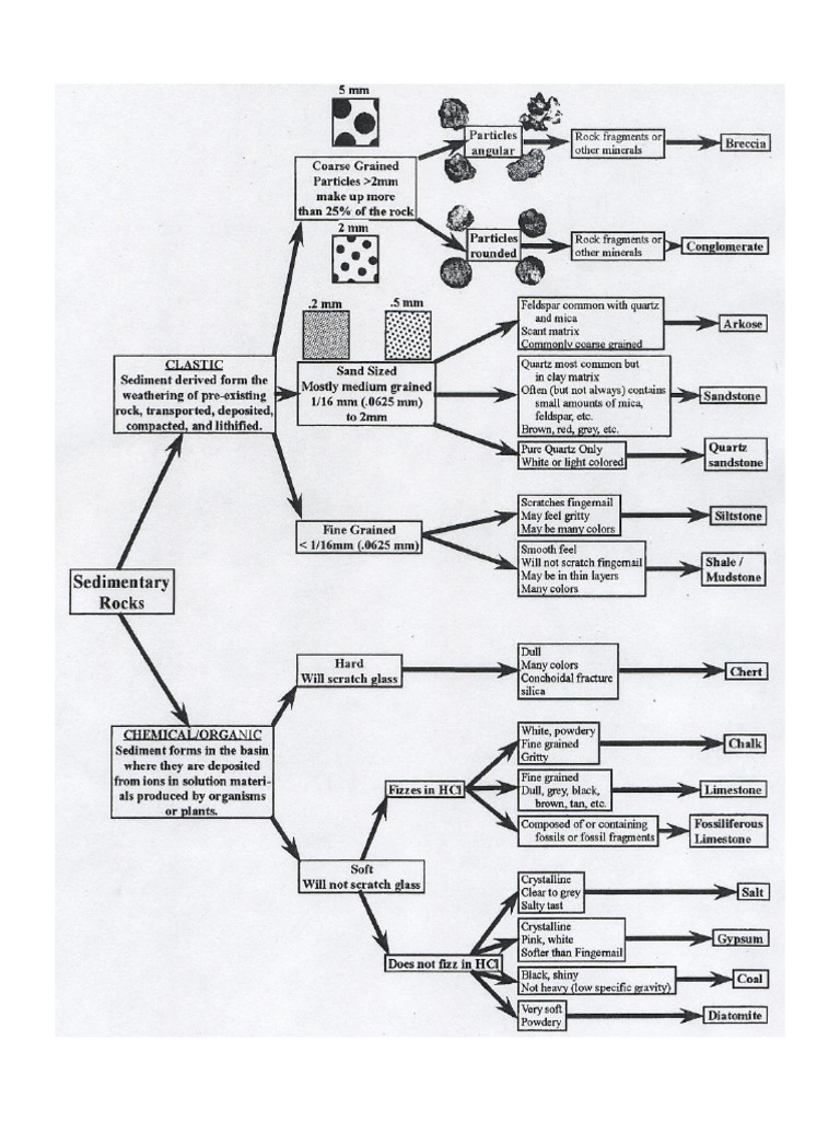 Sedimentary Rock ID Chart | PDF