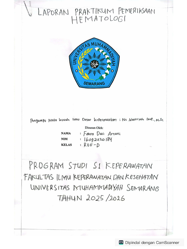 Laprak Hematologi Dan Urinalisa | PDF