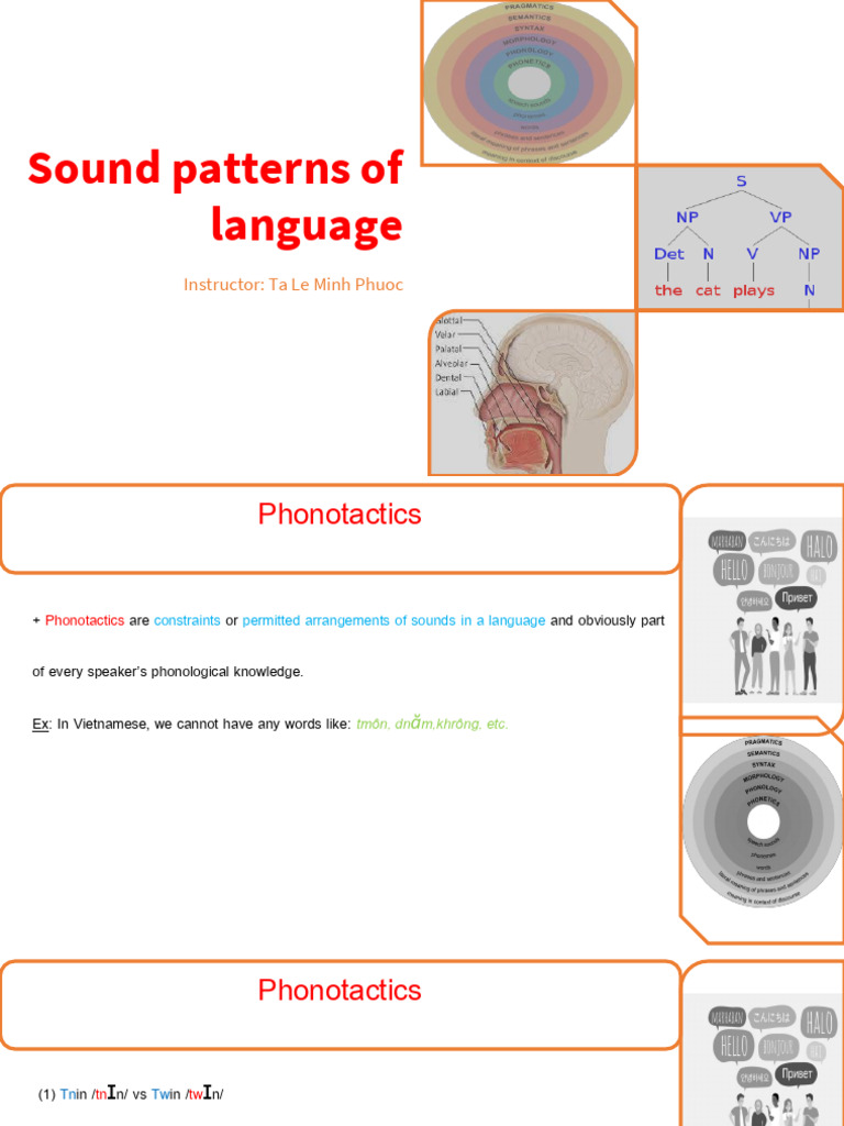 Sound Patterns of Language | PDF | Syllable | Phonetics