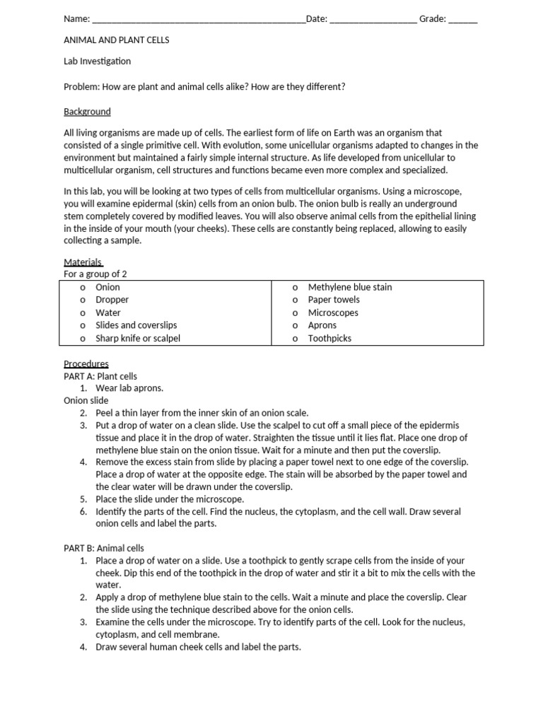Lab Different Types of Cells | PDF | Cell (Biology) | Tissue (Biology)