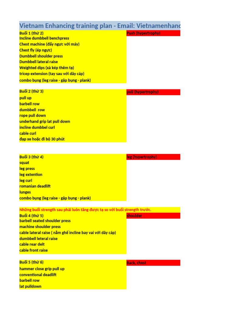 NguyÃ N Nguy?n Training Plan by Vietnamenhancing | PDF