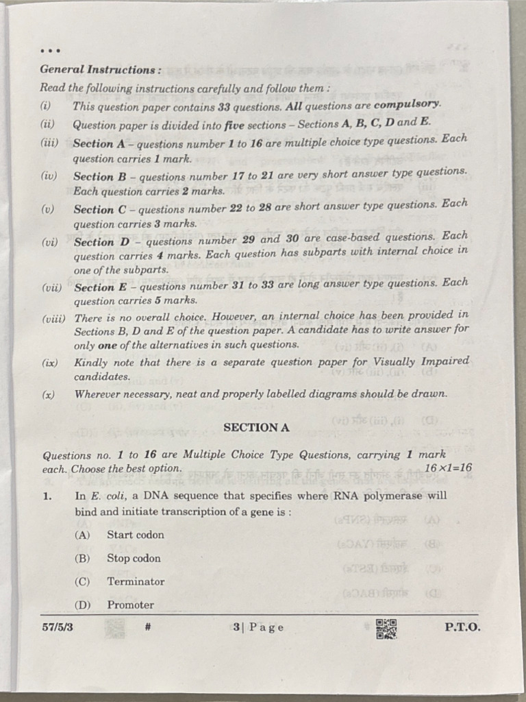 Set 3 | PDF