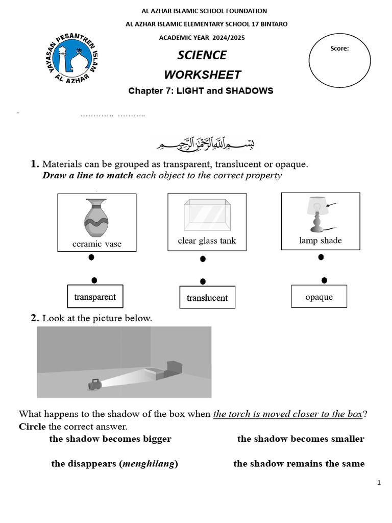 Science Worksheets for Grade 3 Students | PDF | Magnet | Physical Phenomena
