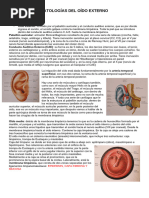 Otoscopia Normal | PDF | Oído | Anatomía
