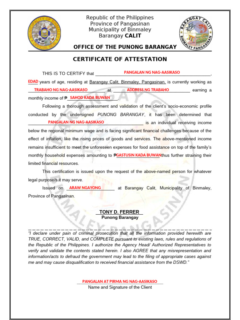 Certificate of Attestation - Sample | PDF | Economies