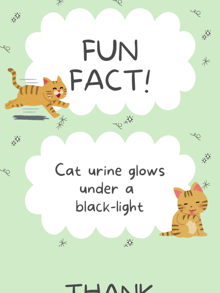 Fun Fact! - 20250613 - 133009 - 0000 | PDF