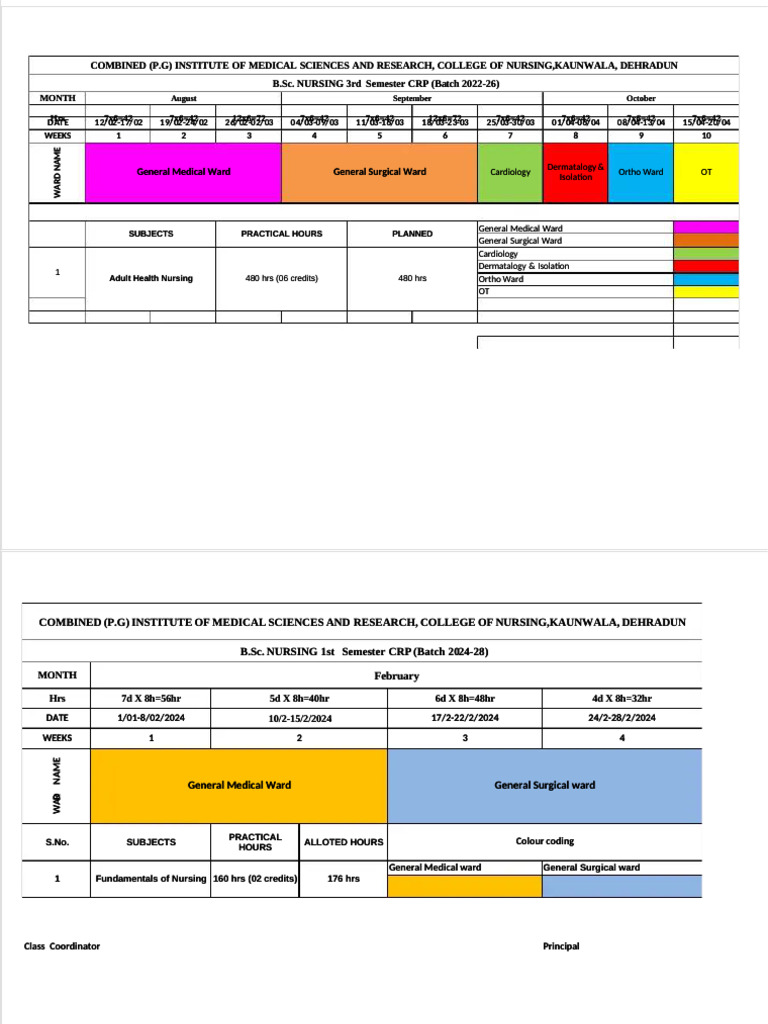 Vsnps B.SC Nursing CRP Plan 1st Sem | PDF | Health Care | Medicine
