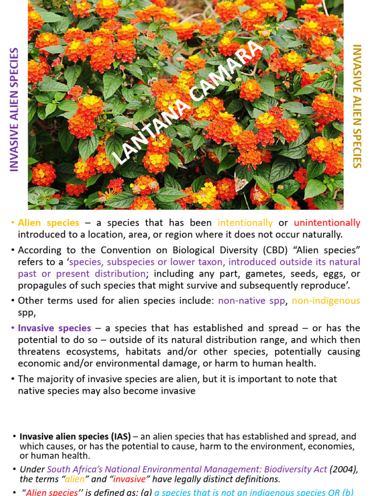 Invasive Alien Species2024 | PDF | Introduced Species | Invasive Species