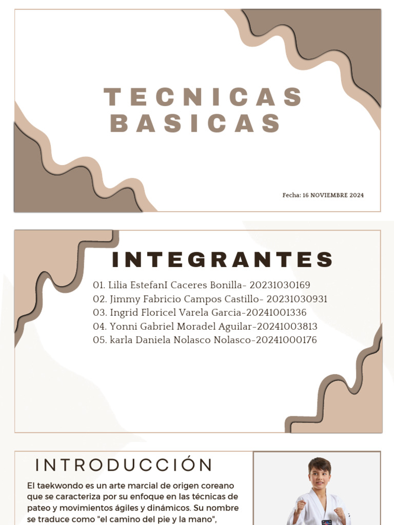 Tecnicas Basicas | PDF | Taekwondo
