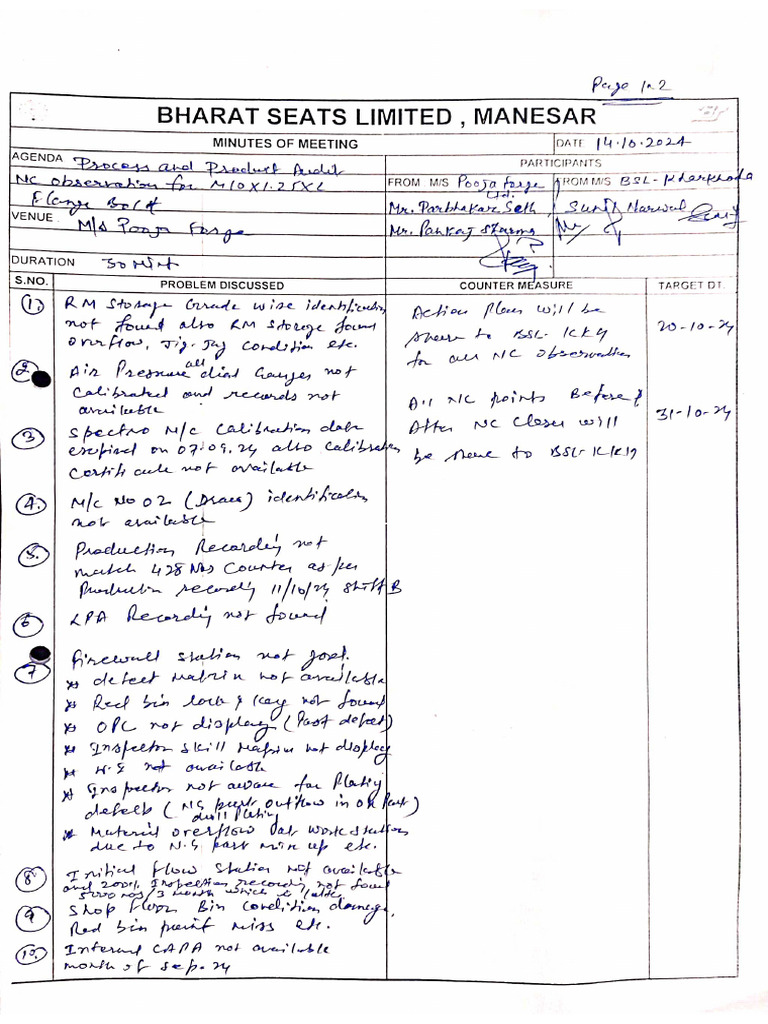 BSL Process Audit Observation | PDF