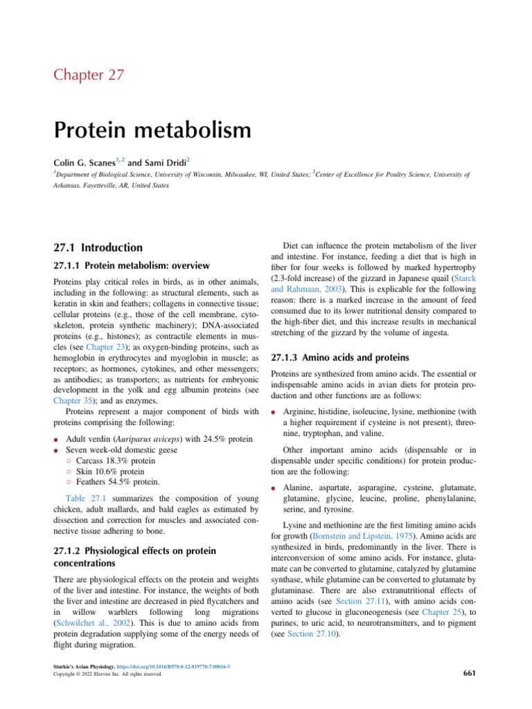 Avian Protein Metabolism Overview | PDF | Skeletal Muscle | Amino Acid