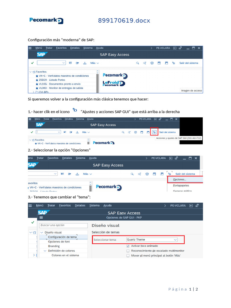 Cambiar a SAP Signature Theme | PDF