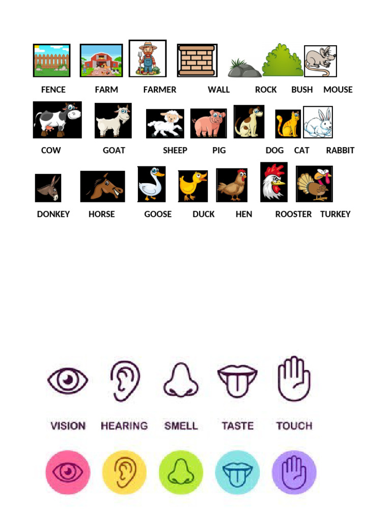 Review 2º Safa Unit 3 Farm Animals and 5 Senses | PDF