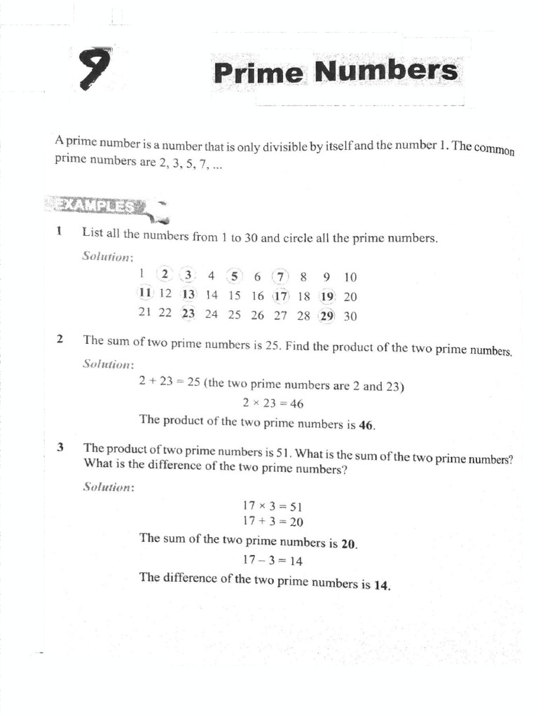 9 Prime Numbers | PDF
