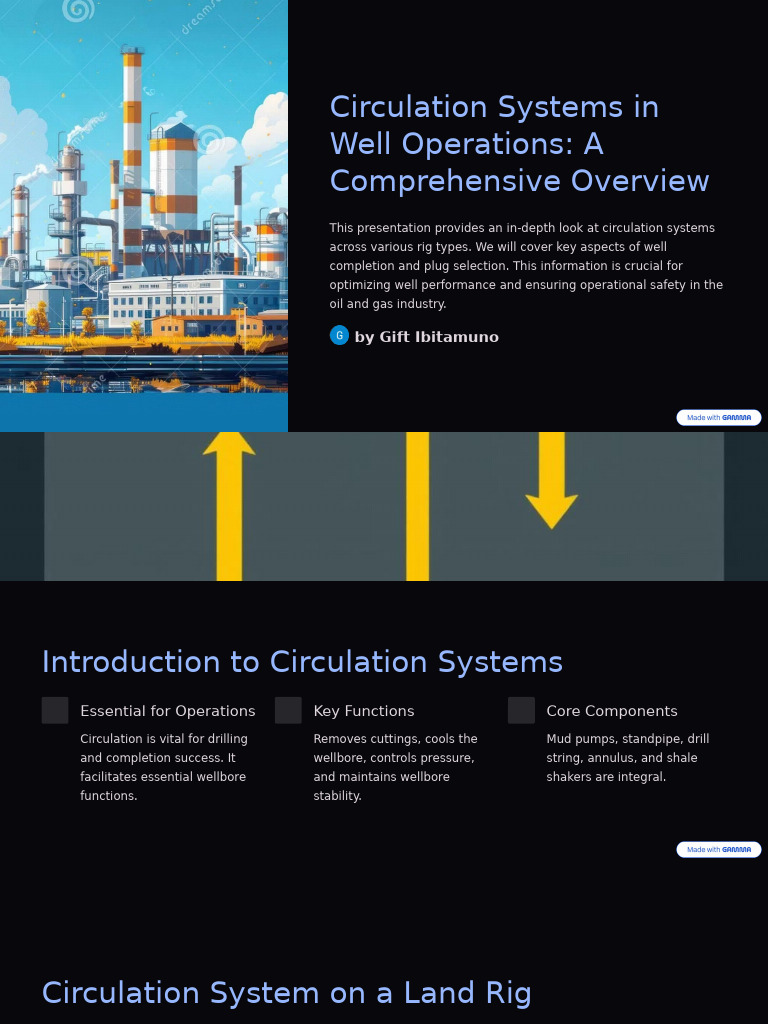 Circulation Systems in Well Operations A Comprehensive Overview | PDF | Oil Well | Pump