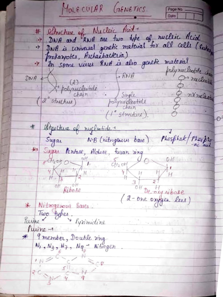 Short Notes Demo of Molecular Basis of Inheritance From Tarun Sir | PDF
