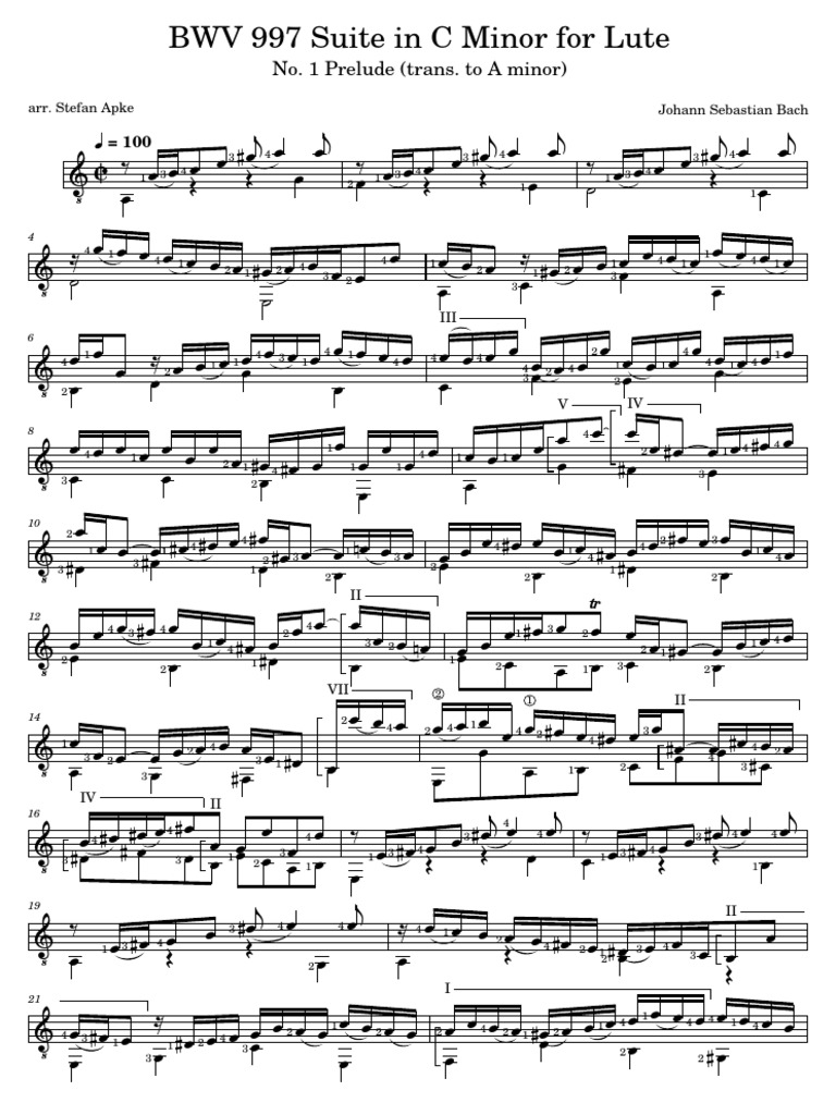 Suite in C Minor For Lute (Transposed To A Minor For Guitar) - J.S ...