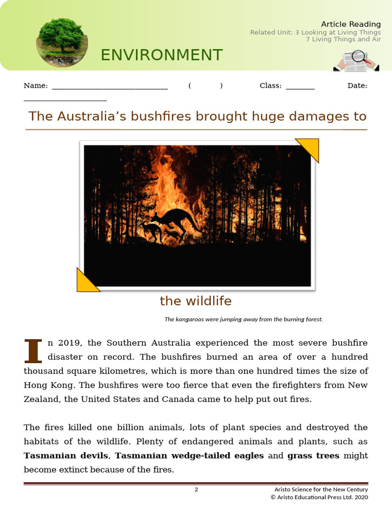 Impact of 2019 Bushfires on Wildlife | PDF | Natural Environment