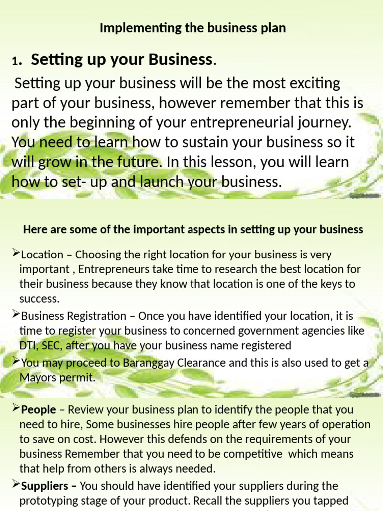 Implementing The Business Plan | PDF | Entrepreneurship | Marketing