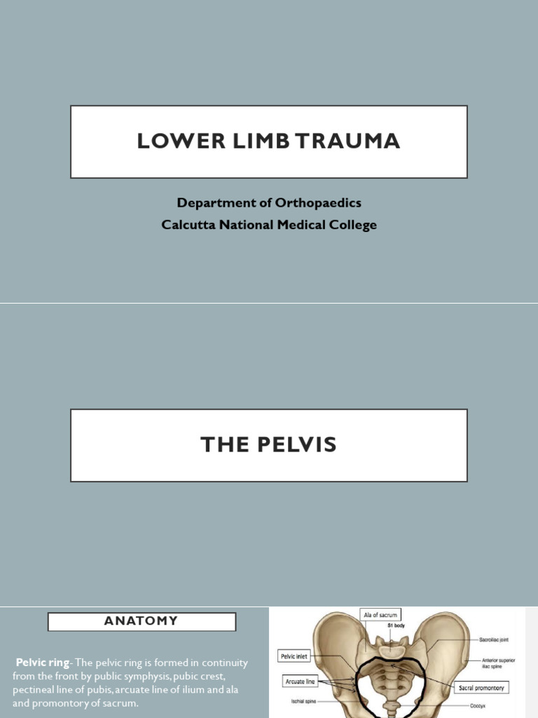 Pelvic and Hip Trauma Overview | PDF | Hip | Pelvis