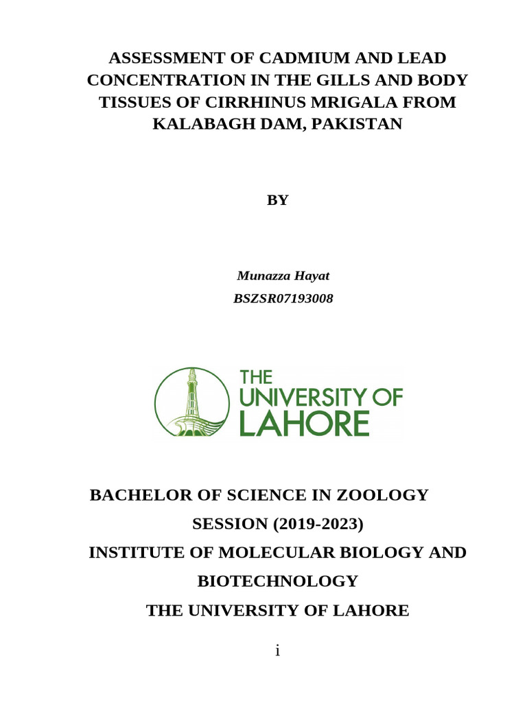 Munazza 2 1 | PDF | Water Pollution | Environmental Science