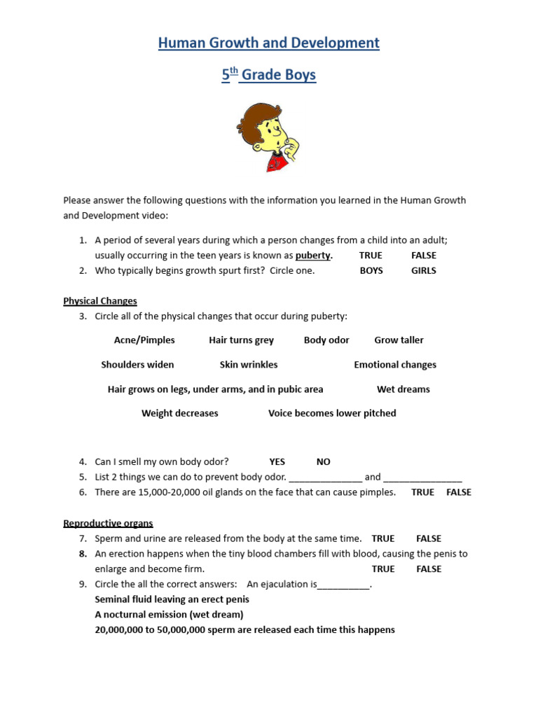 Human Growthand Development 5 TH Boysworksheetdocx | PDF | Puberty ...